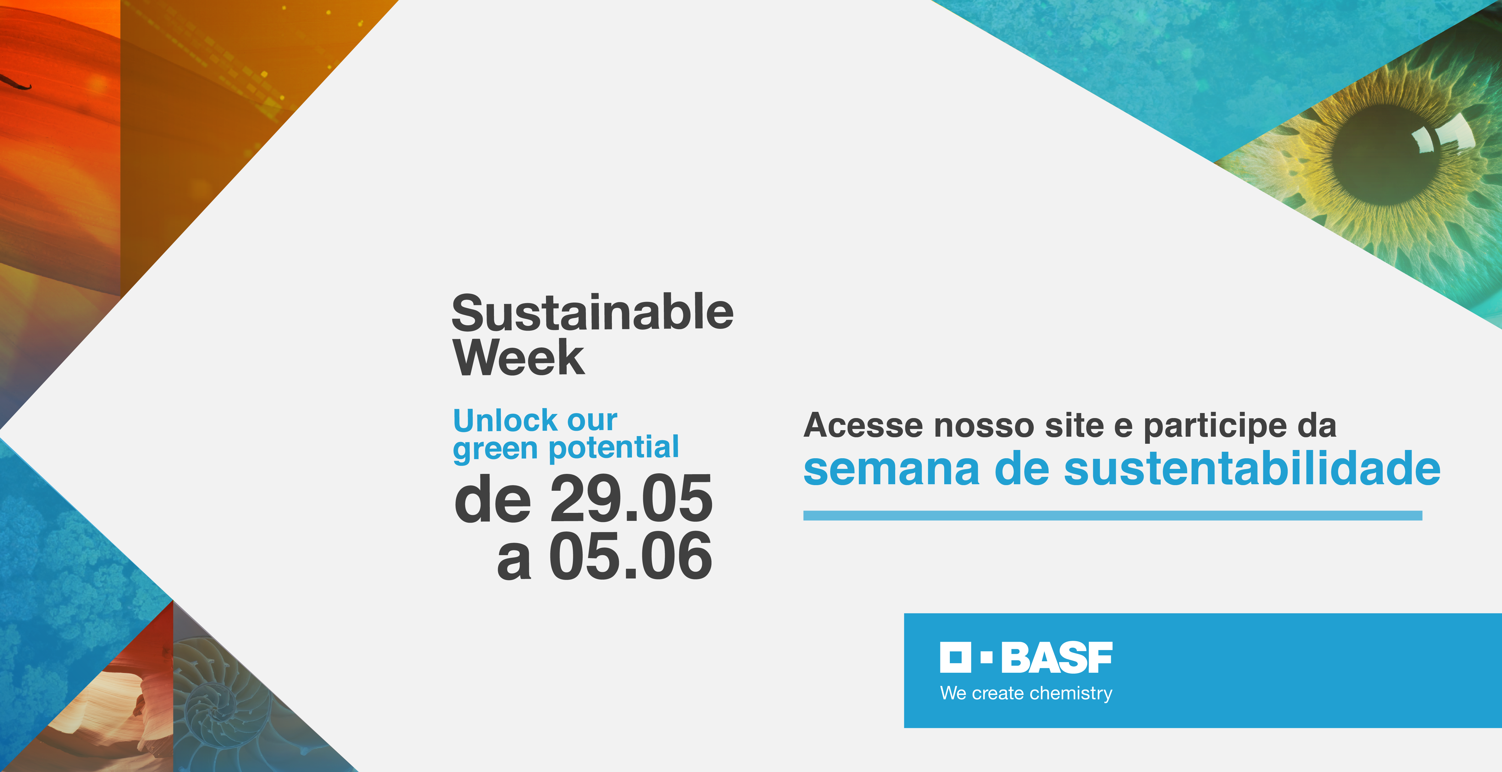 SEEDNews | News - Sustainable week BASF conecta ecossistema de negócios ...